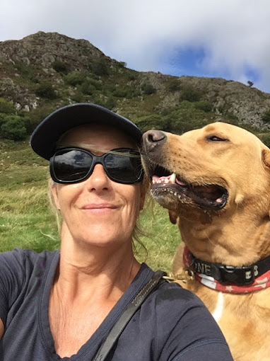 Toms Tails and Trails – Pet Care | Pets At Home | Paltu.Care