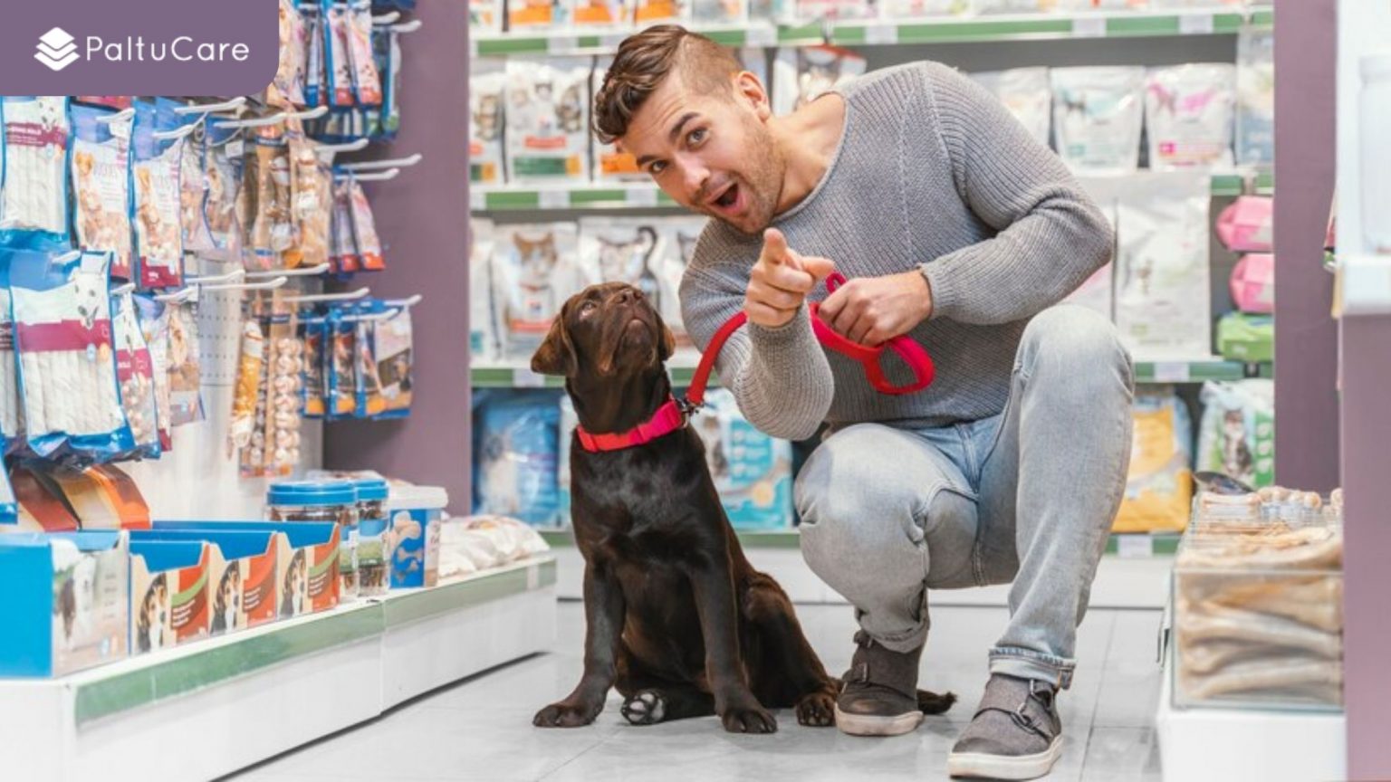 Paltu.Care Blog - Expert Pet Care Tips, Advice, and Insights